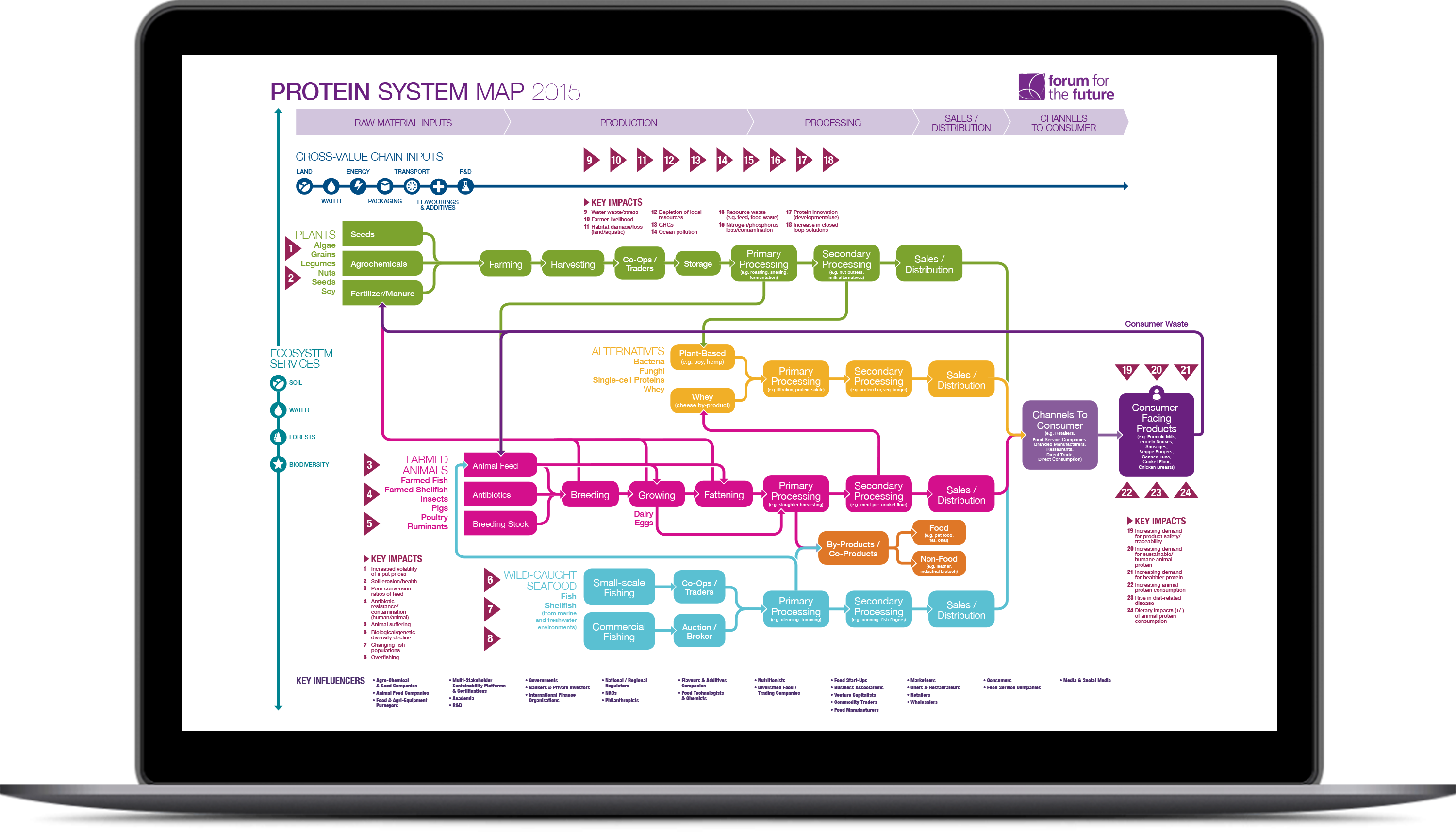 Protein System Map 2015 laptop